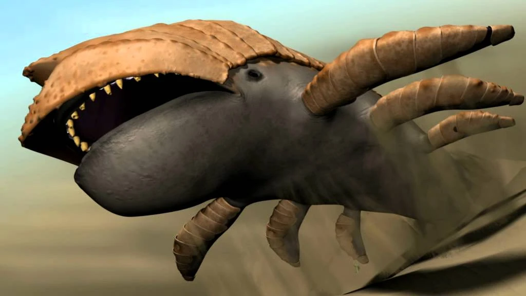 Sand Whale | The Backworld Wikia | Fandom