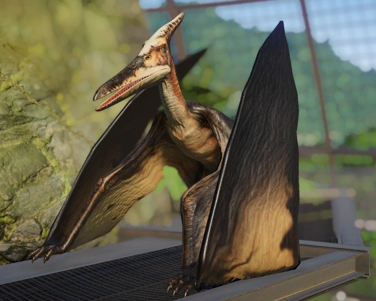 Pteranodon Wiki Jurasic World Evolution EspaÑol Fandom