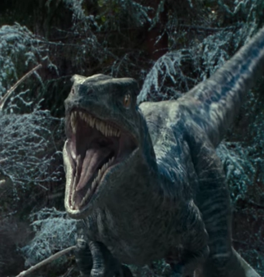 Blue | Jurassic Franchise Wiki | Fandom