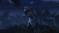 Blue | Jurassic Franchise Wiki | Fandom