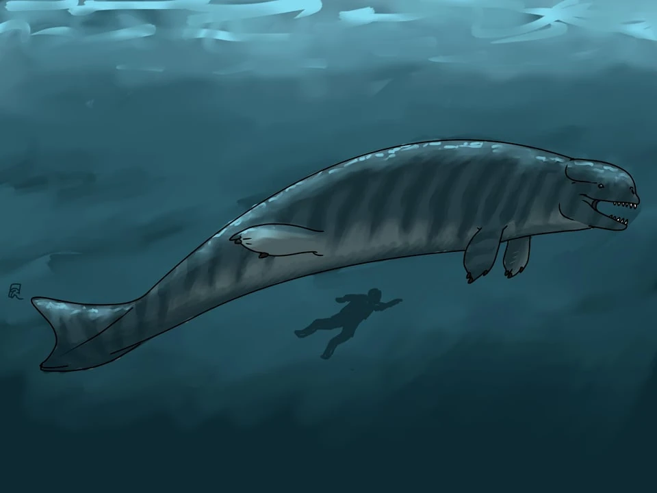 Cryptocetus | Jurassic Impact Wiki | Fandom