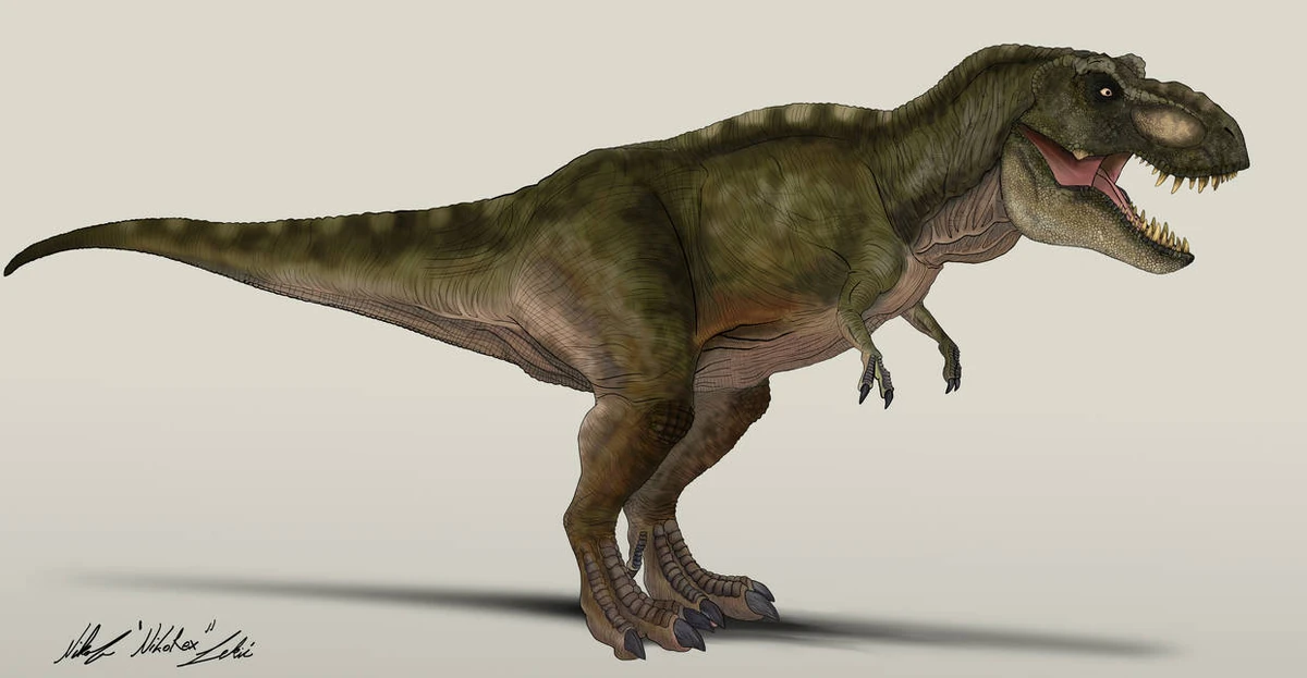 Duke | World of Raptors wiki | Fandom
