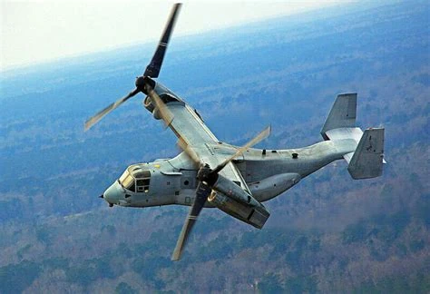 Senuth-14 | World of Raptors wiki | Fandom