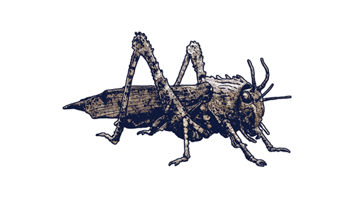 Giant Locust | World of Raptors wiki | Fandom