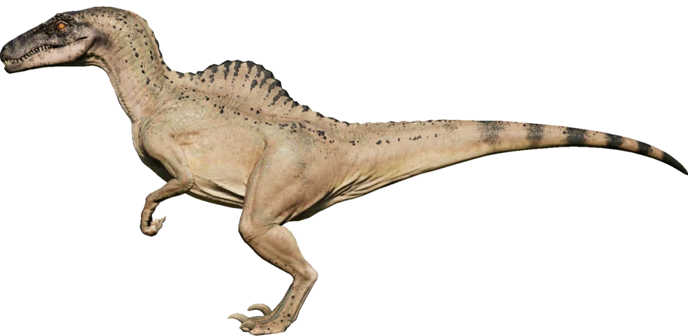 Spinoraptor | World of Raptors wiki | Fandom