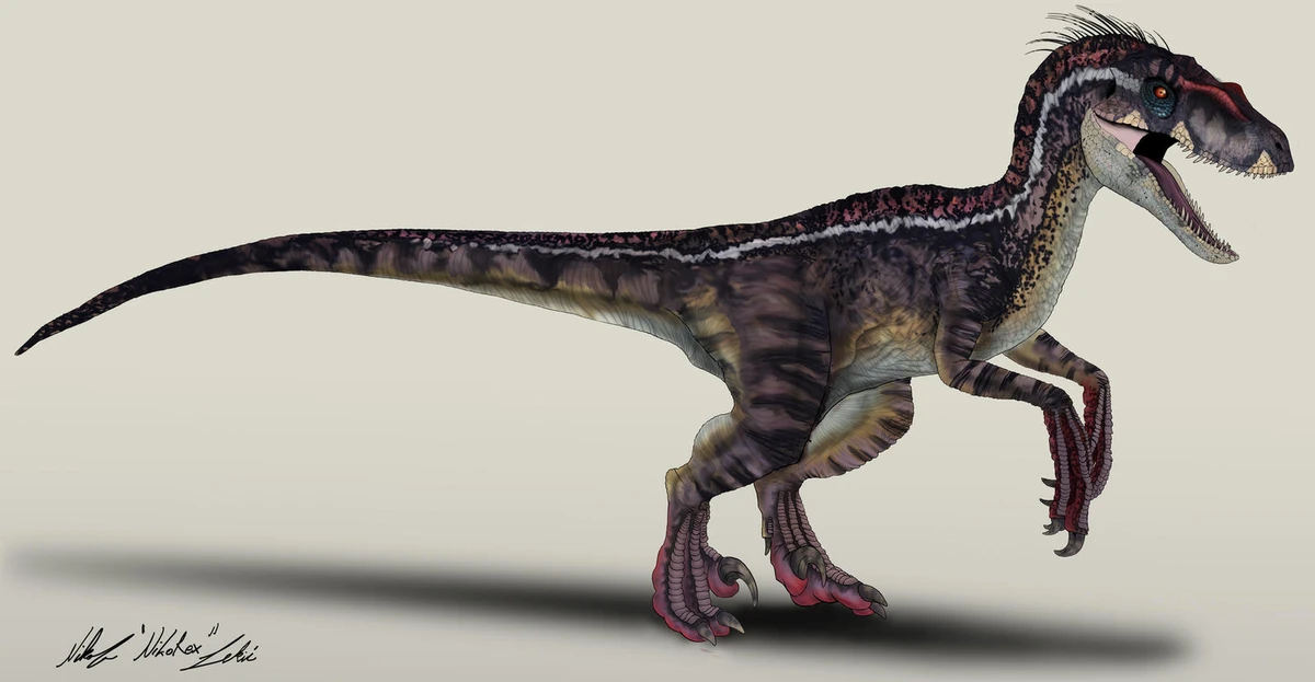 Jera | World of Raptors wiki | Fandom