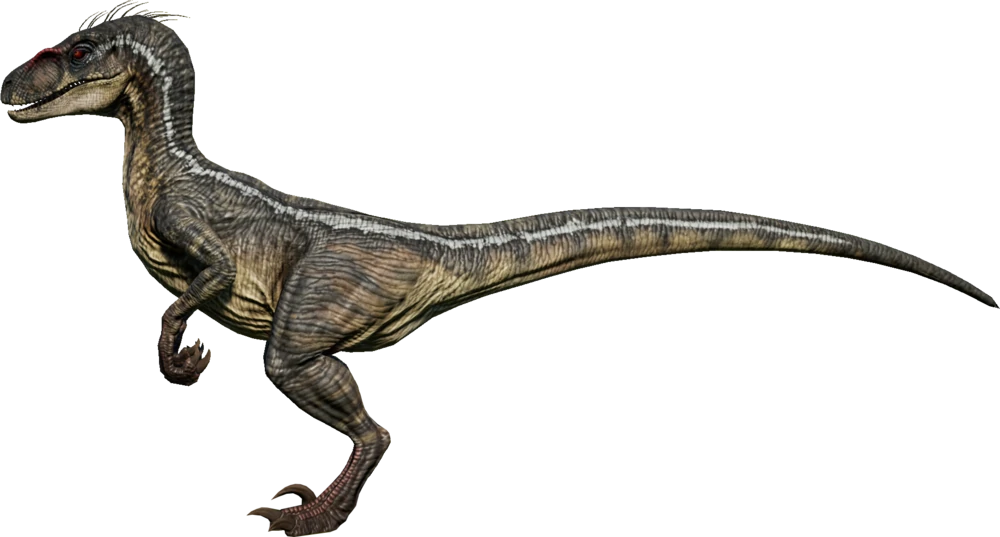Pinion | World of Raptors wiki | Fandom
