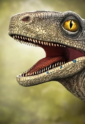 Zephyr | World of Raptors wiki | Fandom