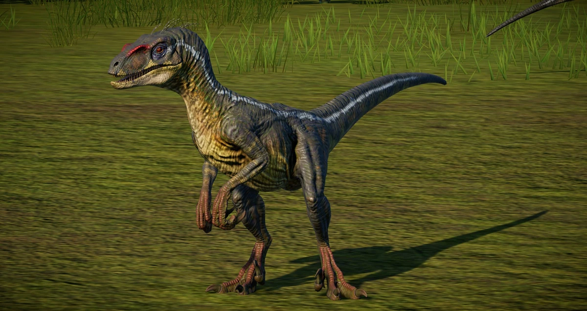 Sowilo | World of Raptors wiki | Fandom