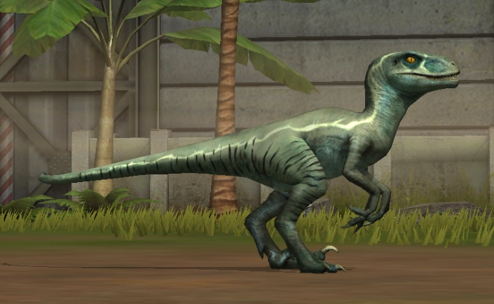 Dwarf Velociraptor | World of Raptors wiki | Fandom