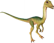 Compsognathus | Jurassic Park Ecology Wiki | Fandom