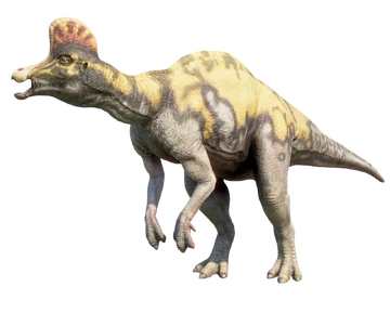 corythosaurus jwe2