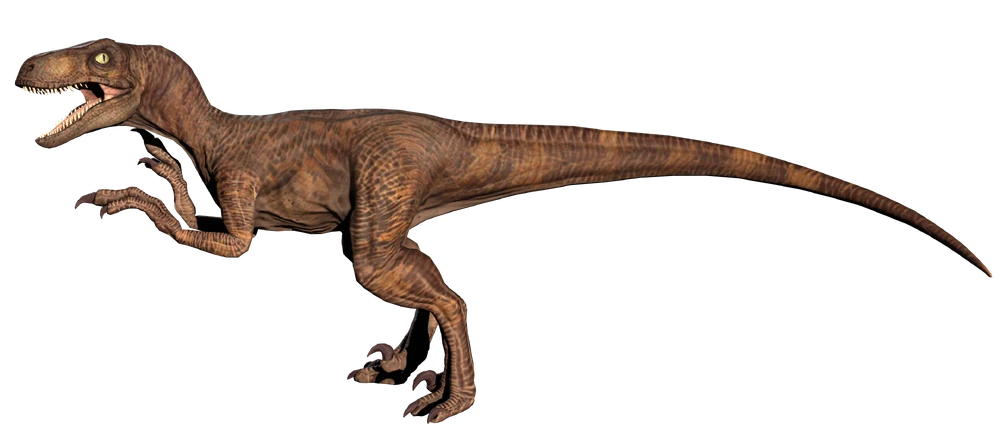 Velociraptor | Jurassic Park Expanded AU Wiki | Fandom