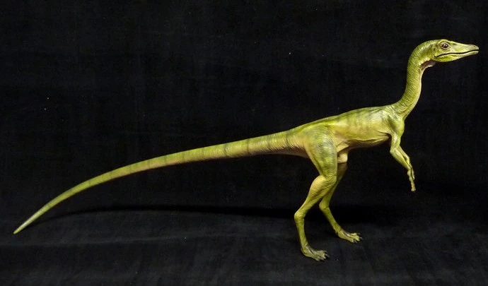 Compsognathus | Wiki Jurassic Park Universe RPG | Fandom