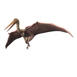 Alanqa | Jurassic World Alive Wiki | Fandom