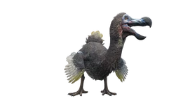 Dodo | Jurassic World Alive Wiki | Fandom