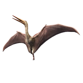 Alanqa | Jurassic World Alive Wiki | Fandom