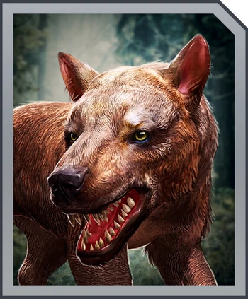 Amphicyon | Jurassic World Alive Wiki | Fandom