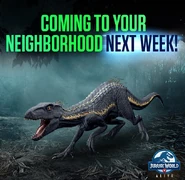Indoraptor | Jurassic World Alive Wiki | Fandom
