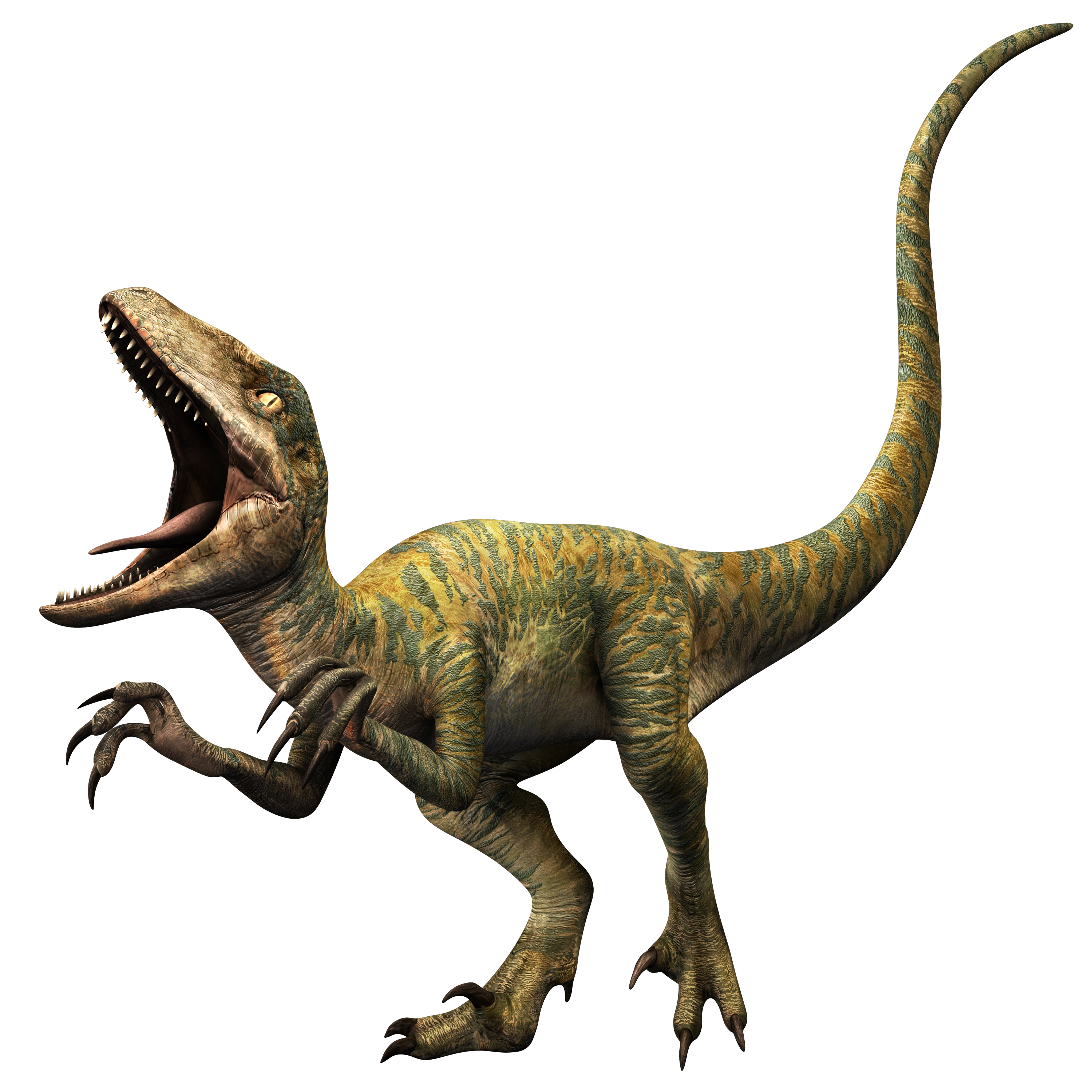 Jurassic World Raptor Echo Jurassic Waterloo: Echo | Echo Surveys The