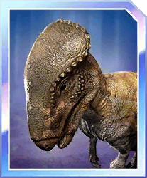 Homalocephale | Jurassic World Alive Wiki | Fandom