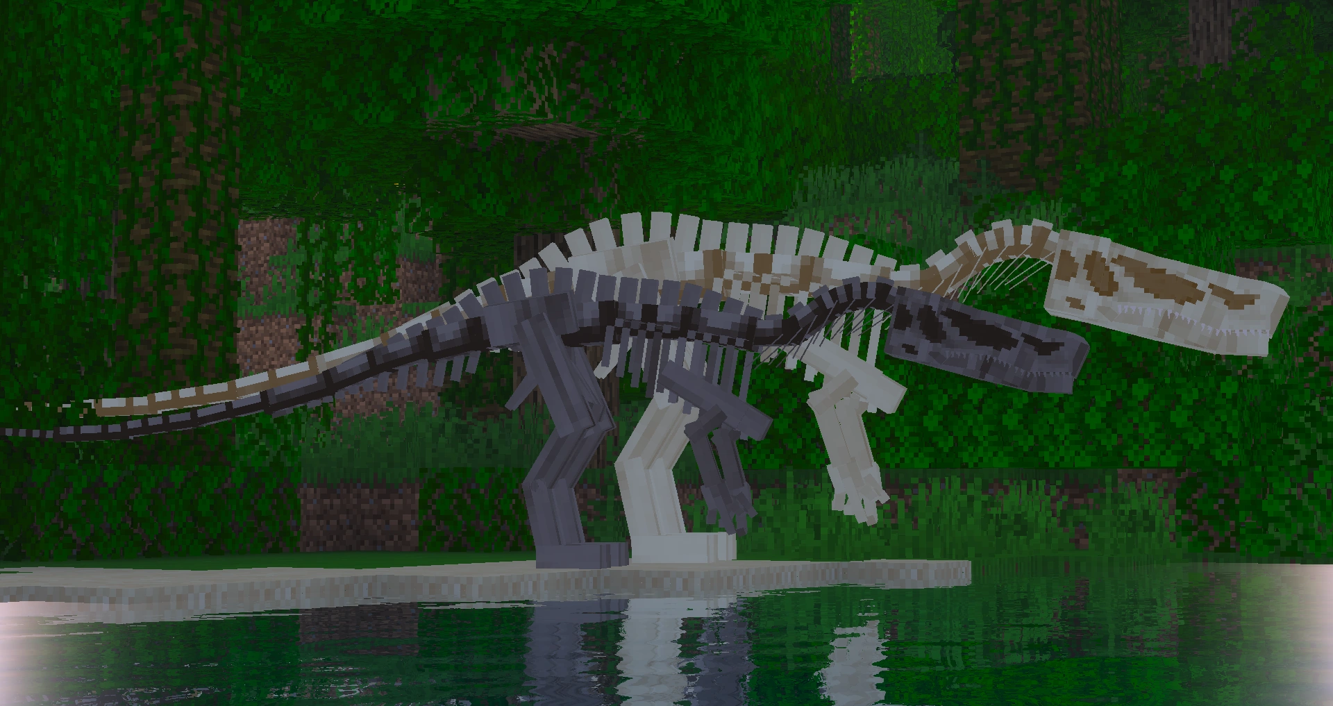 Suchomimus Skeleton