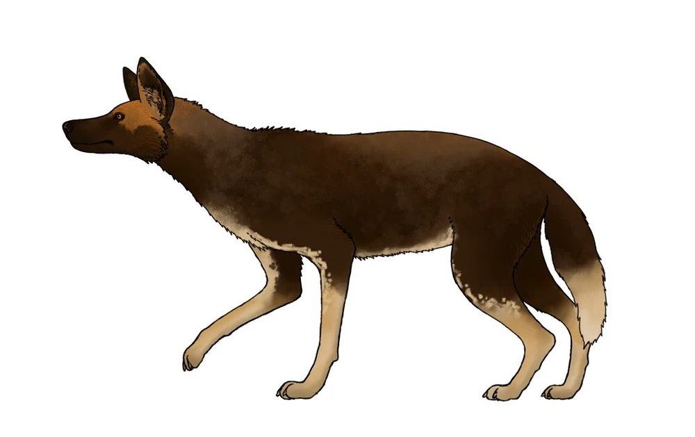 Cynotherium | Jurassic World San Diego Wiki | Fandom