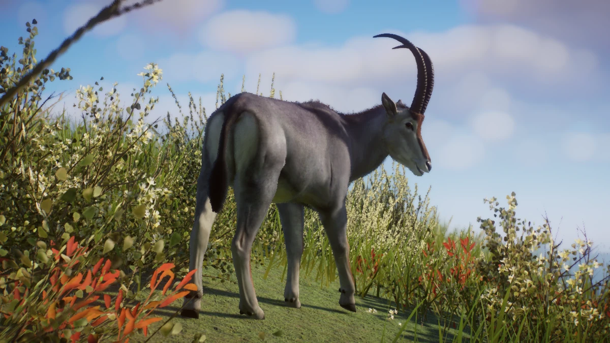 Bluebuck | Jurassic World San Diego Wiki | Fandom