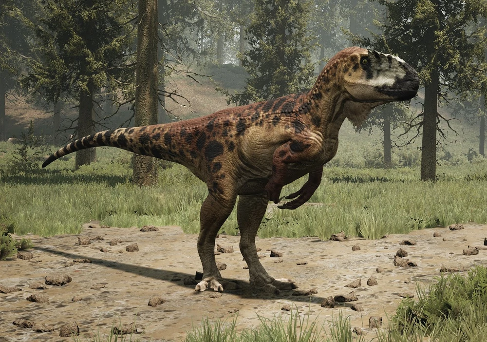Metriacanthosaurus GEN 4 | Jurassic World San Diego Wiki | Fandom