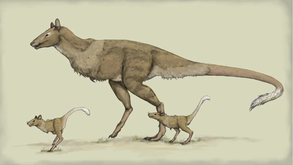 Rapax Turpis | Jurassic World San Diego Wiki | Fandom