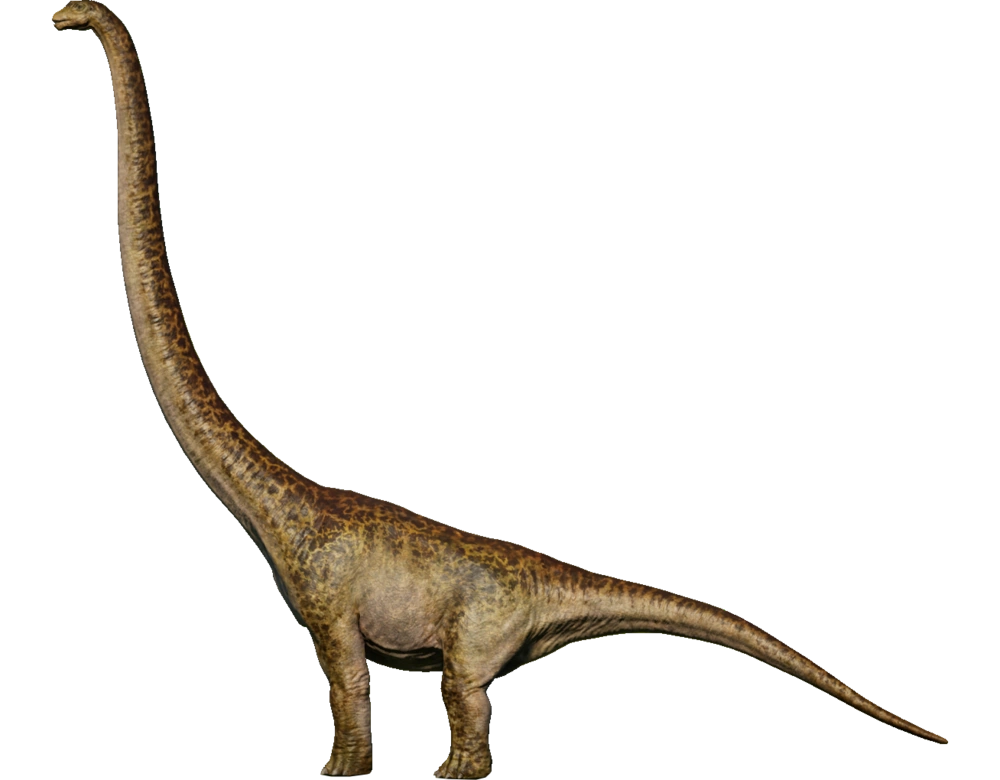 Mamenchisaurus gen 2 | Jurassic World San Diego Wiki | Fandom