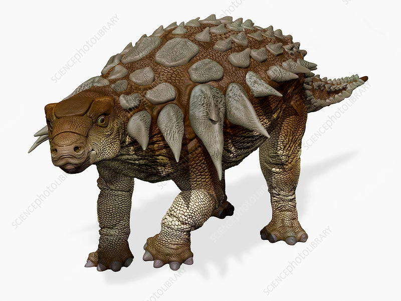 Edmontonia | Jurassic World San Diego Wiki | Fandom