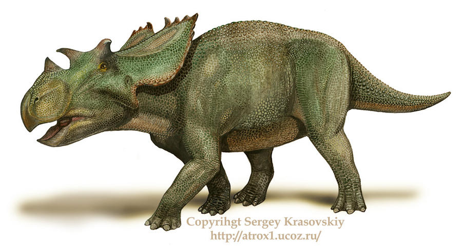 Utahceratops | Jurassic World San Diego Wiki | Fandom