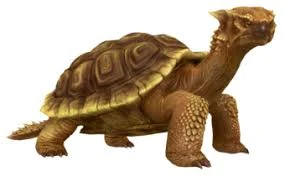 Meiolania | Jurassic World San Diego Wiki | Fandom