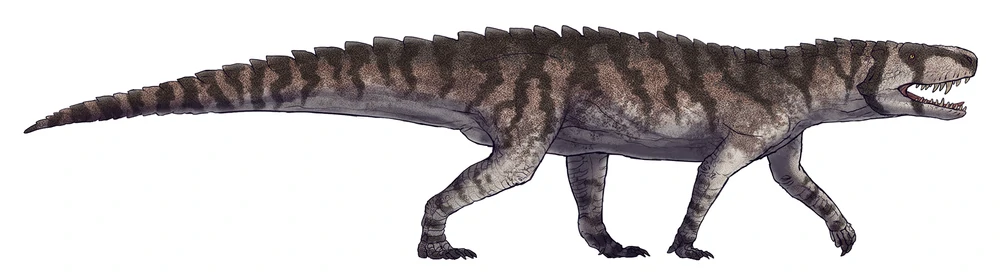 Rauisuchus | Jurassic World San Diego Wiki | Fandom
