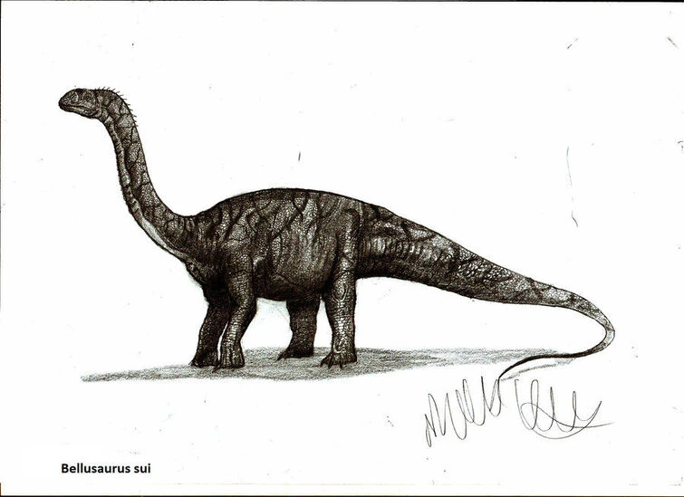 Bellusaurus | Jurassic World San Diego Wiki | Fandom