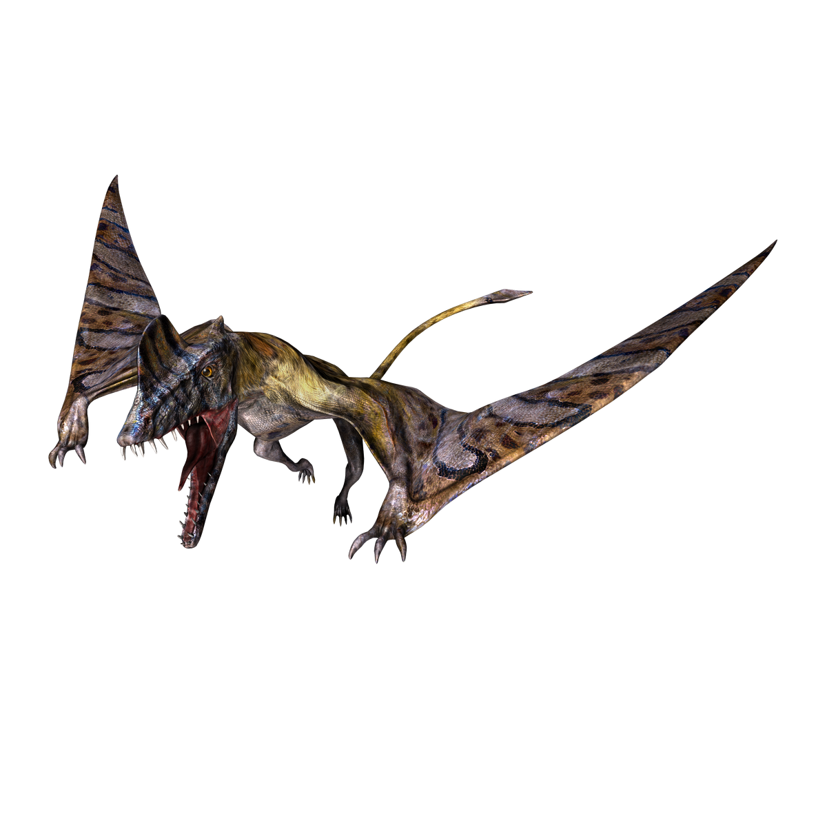 Scaphognathus Jurassic World San Diego Wiki Fandom