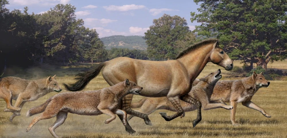 Golem Wolf | Jurassic World San Diego Wiki | Fandom