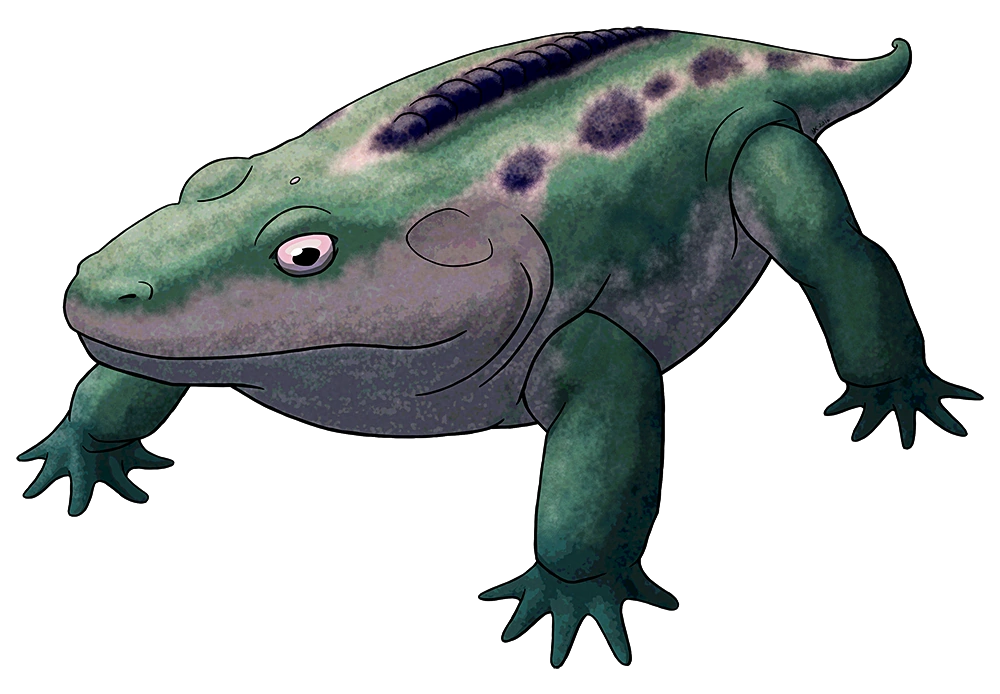 Cacops | Jurassic World San Diego Wiki | Fandom