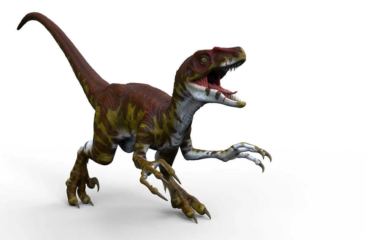 Velociraptor | Jurassic World San Diego Wiki | Fandom