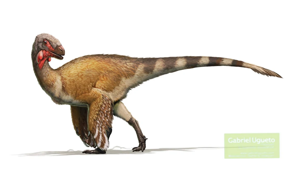 Fukuivenator | Jurassic World San Diego Wiki | Fandom