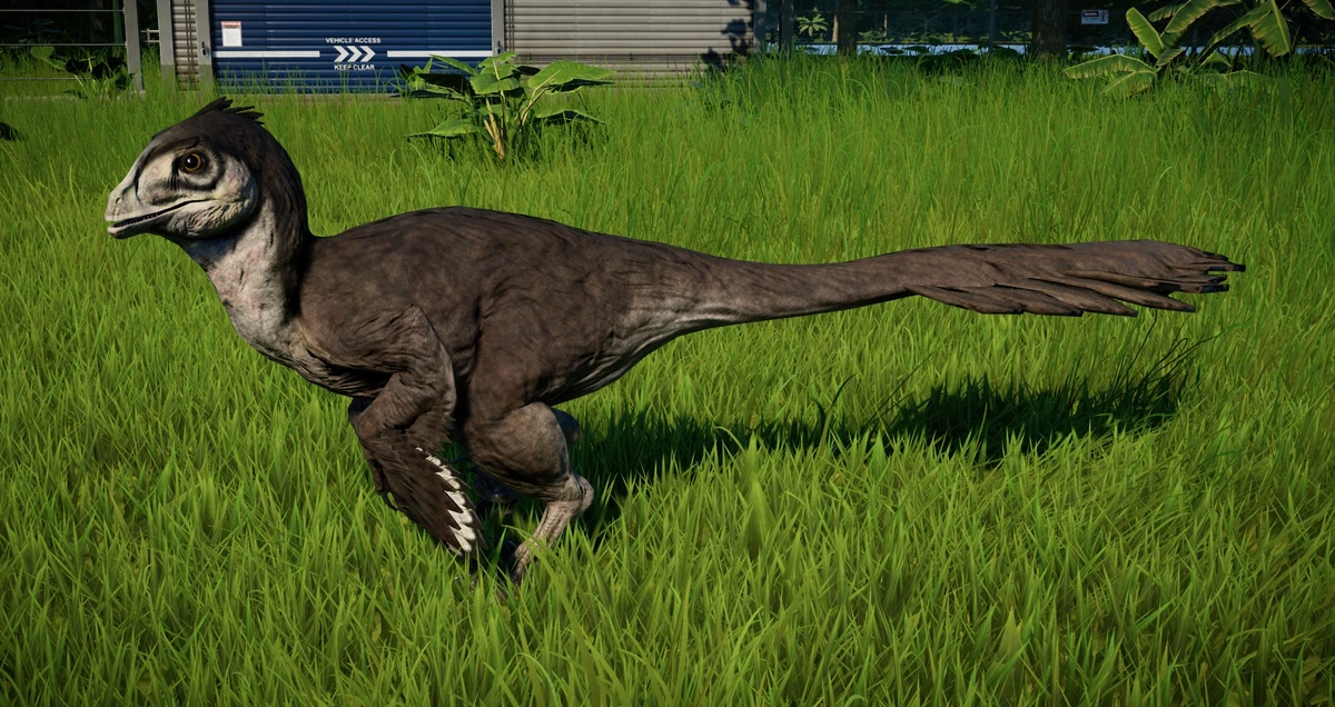 Balaur | Jurassic World San Diego Wiki | Fandom