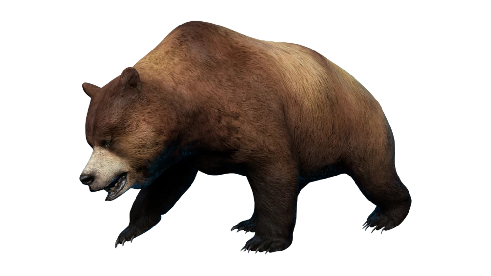 Cave Bear | Jurassic World San Diego Wiki | Fandom