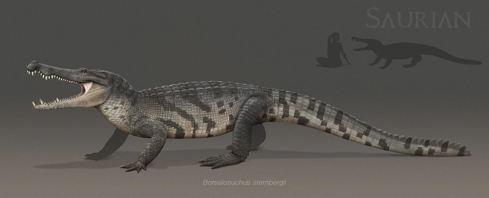 Borealosuchus | Jurassic World San Diego Wiki | Fandom