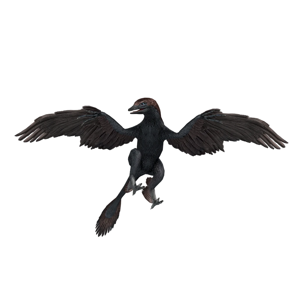 Microraptor | Jurassic World San Diego Wiki | Fandom
