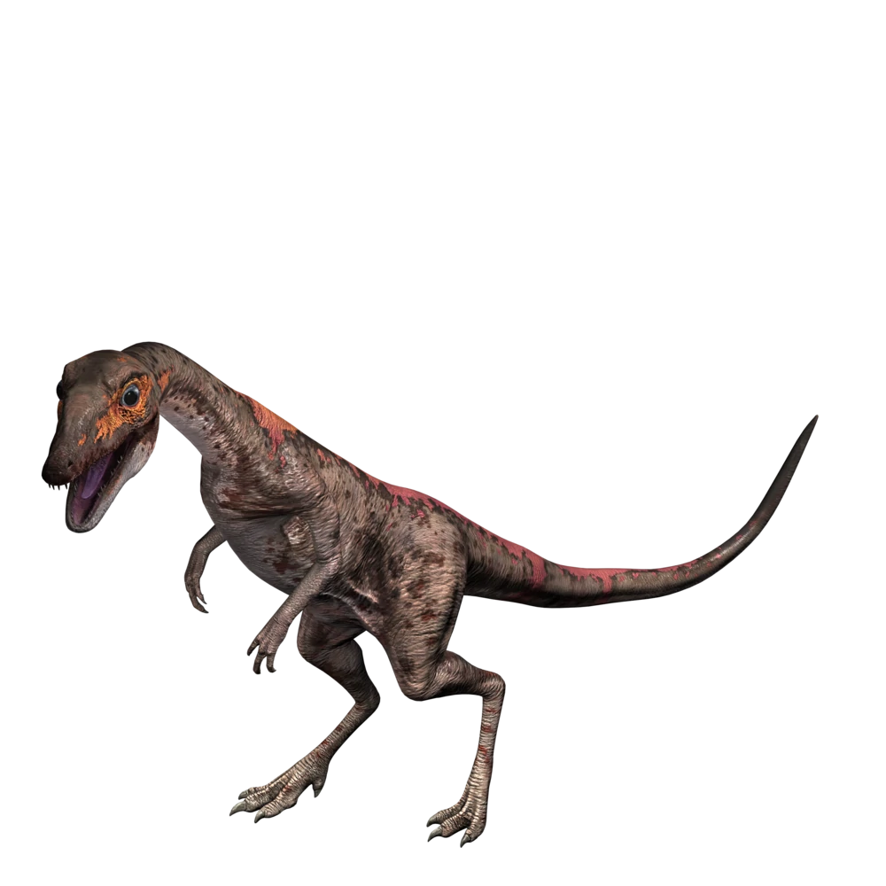 Compsognathus Gen 2 | Jurassic World San Diego Wiki | Fandom