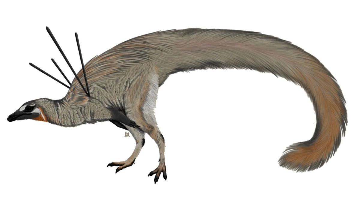 Ubirajara | Jurassic World San Diego Wiki | Fandom