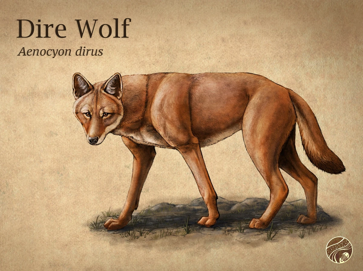 Dire Wolf | Jurassic World San Diego Wiki | Fandom