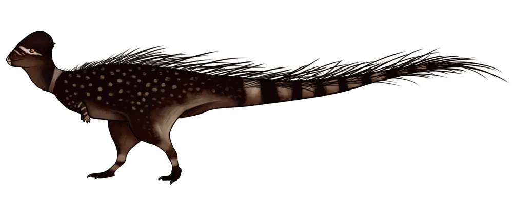 Colepiocephale | Jurassic World San Diego Wiki | Fandom