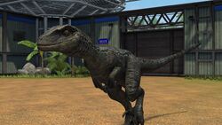 Prado de raptors | Jurassic World the game Wiki | Fandom